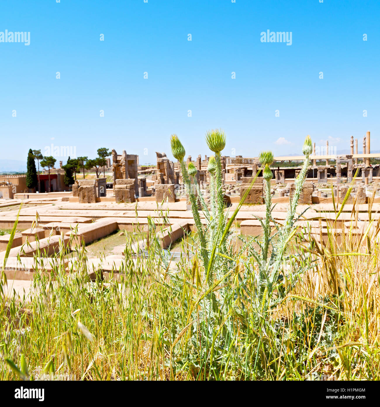 blur in iran persepolis the old ruins historical destination monuments ...