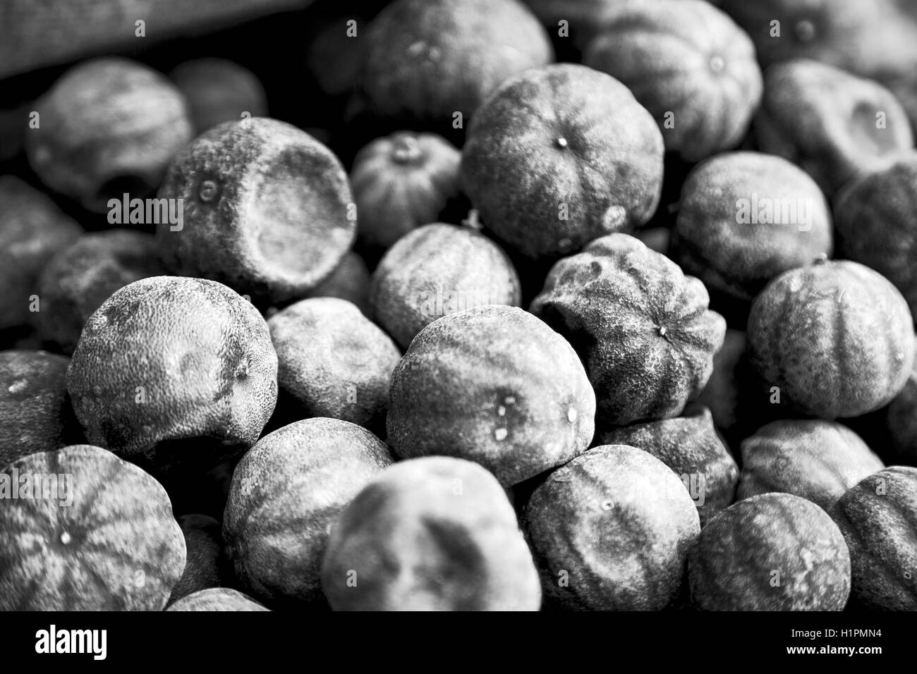in iran blur typical dry lemon in abstract pattern background flavor ...