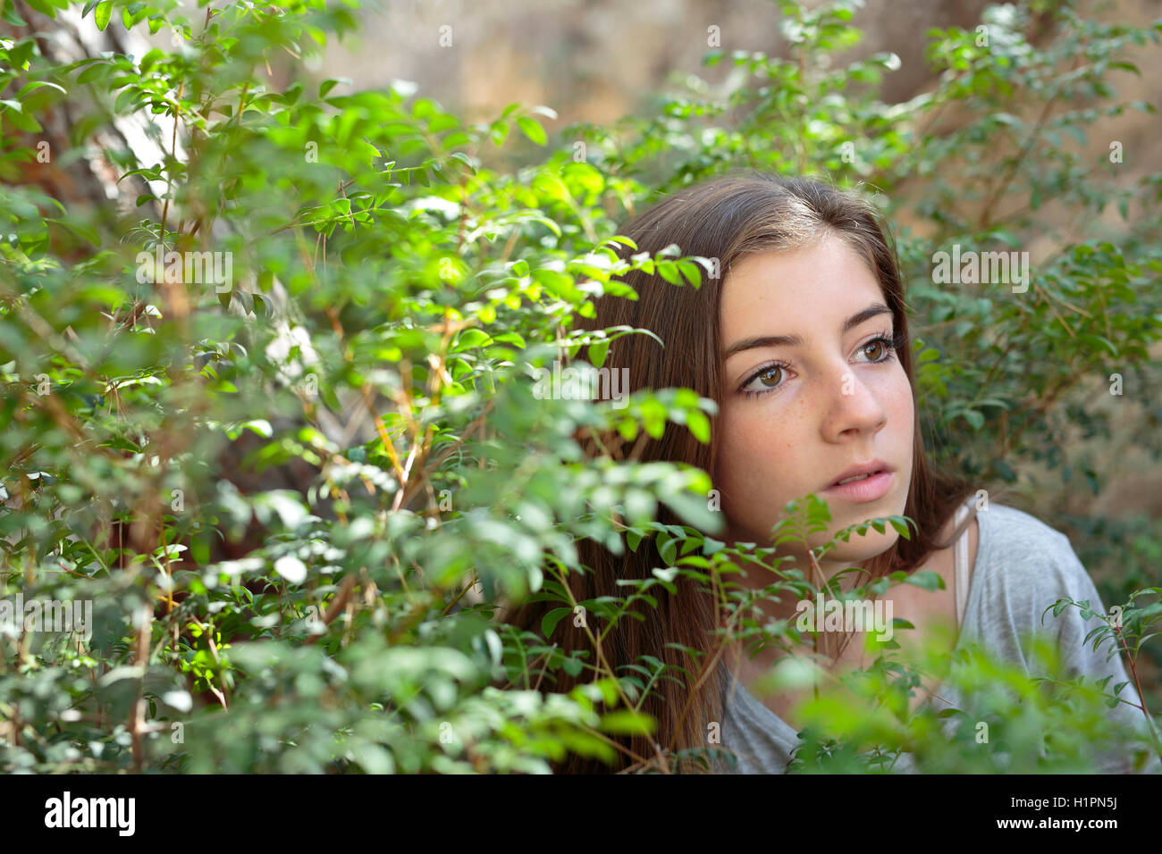 Face of a girl among branches of a tree with green leaves Stock Photo ...