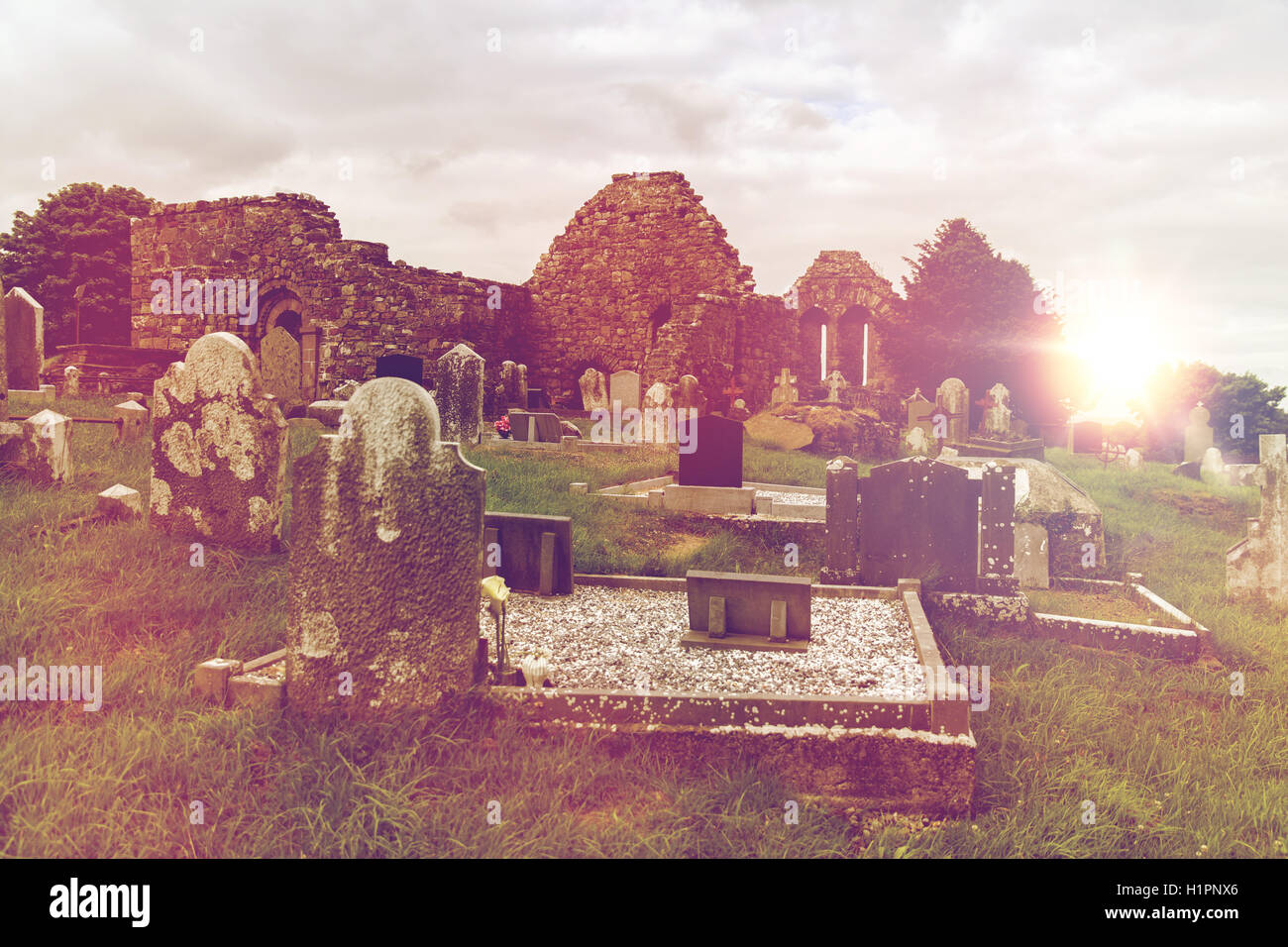 old celtic cemetery graveyard in ireland Stock Photo - Alamy