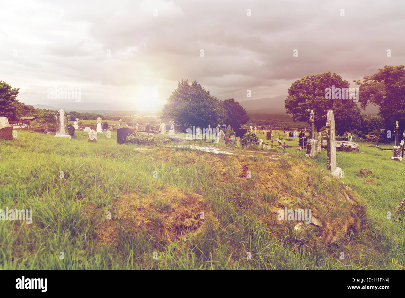 old celtic cemetery graveyard in ireland Stock Photo - Alamy