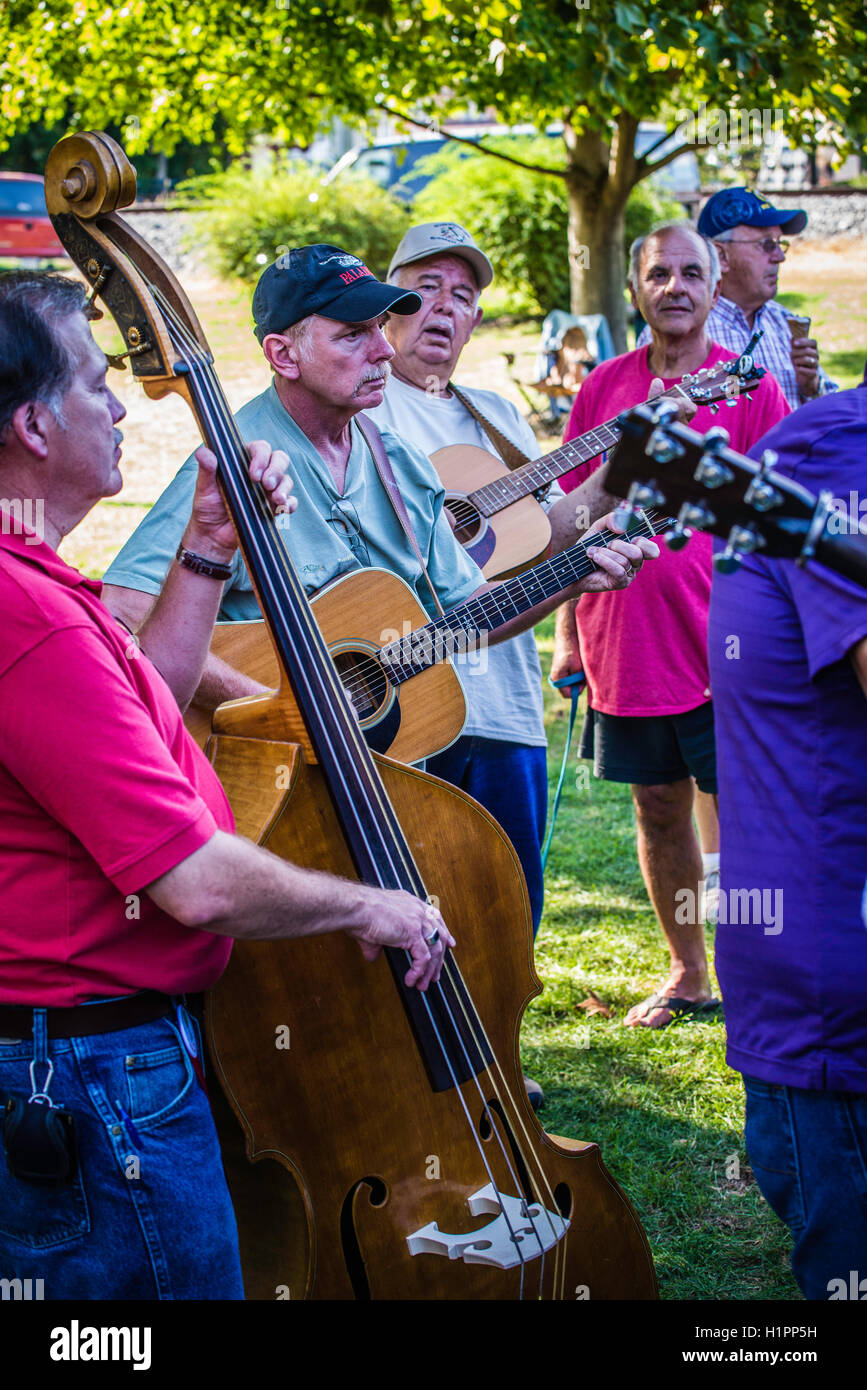 Bluegrass music festival musicians Stock Photo - Alamy