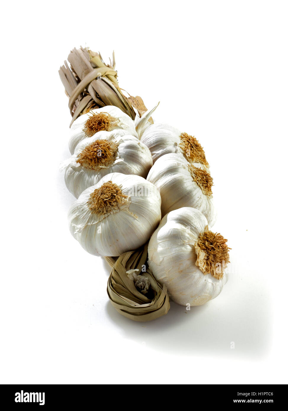 string of garlic isolated on white background Stock Photo - Alamy
