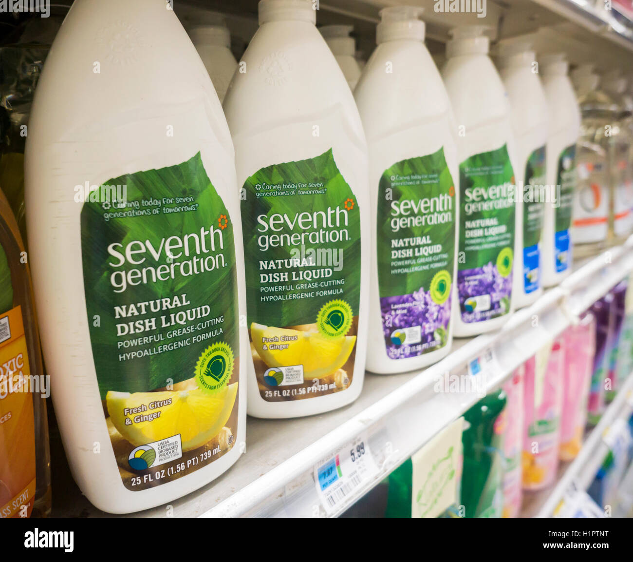 Seventh Generation Store