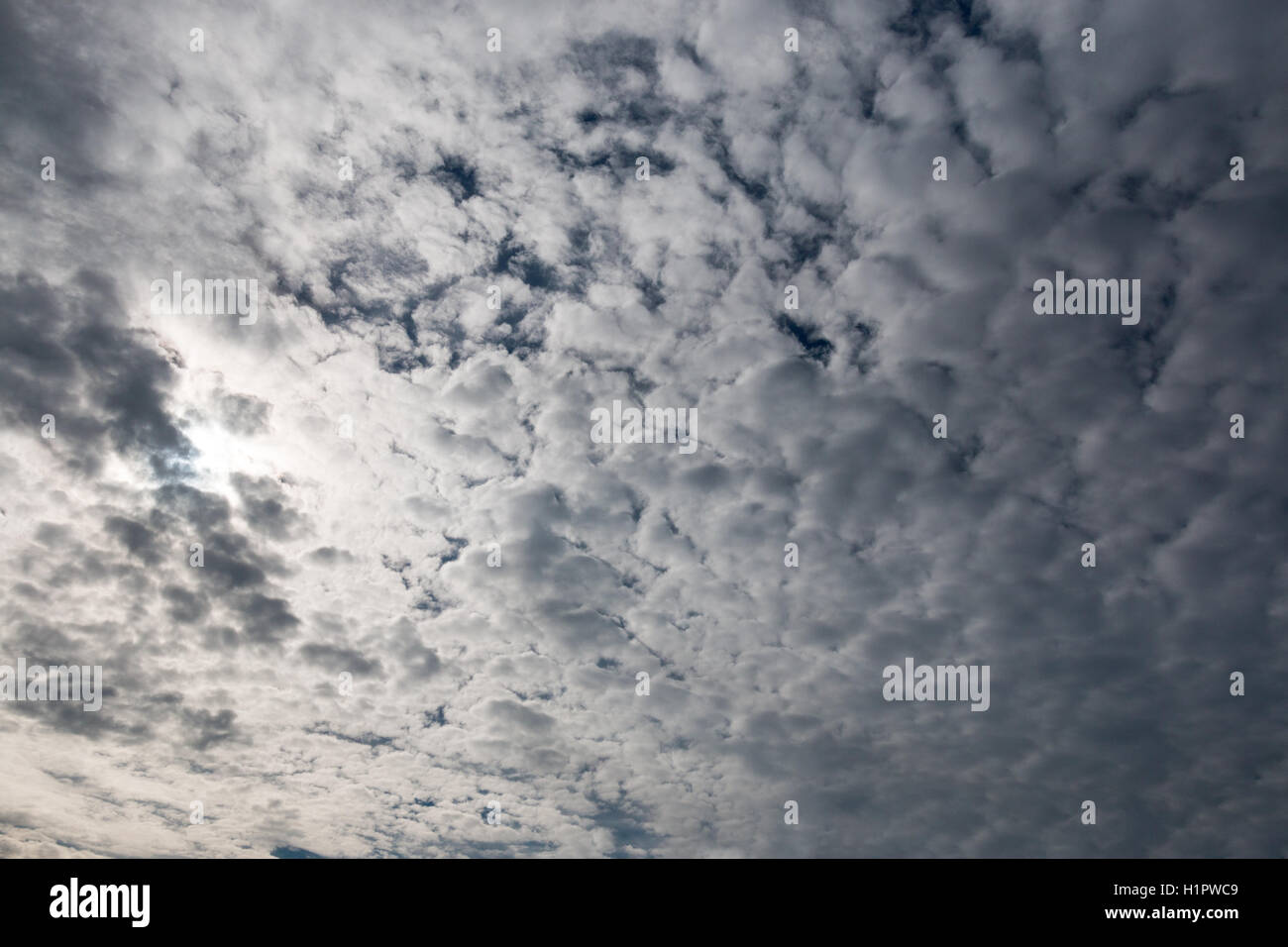 many small fluffy clouds across the sky Stock Photo - Alamy