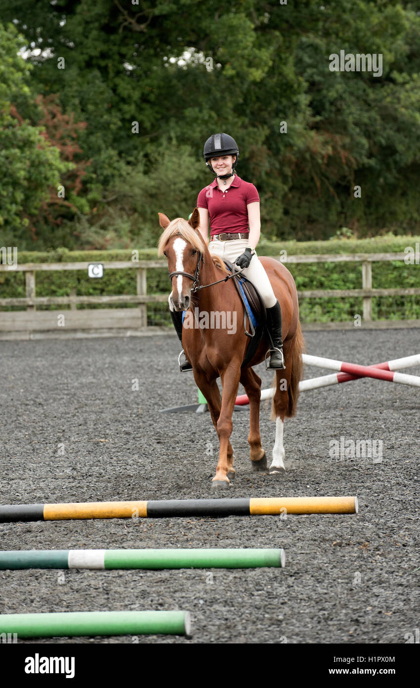 Walking horse over poles hi-res stock photography and images - Alamy