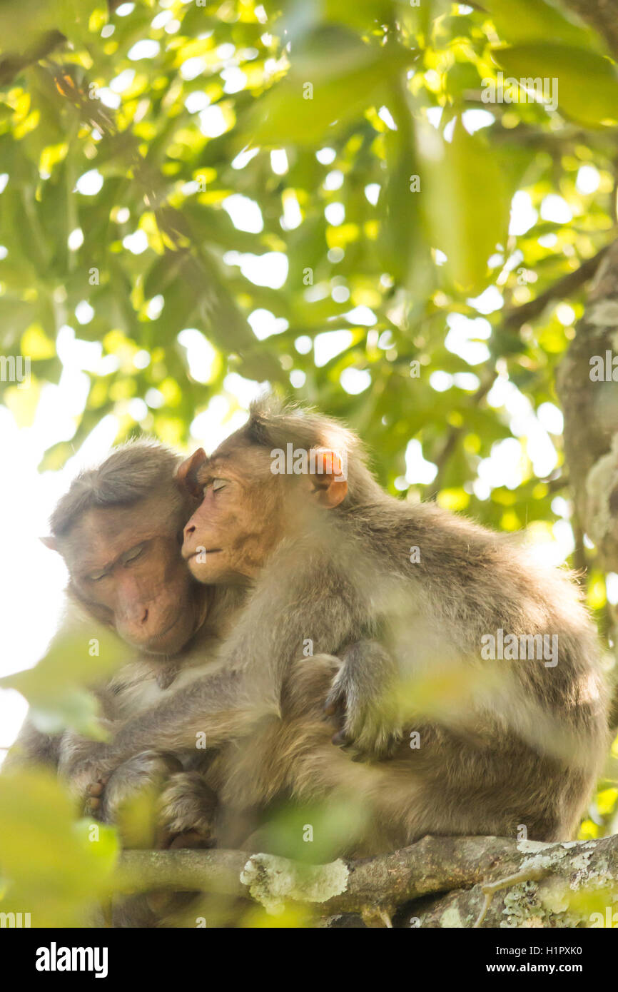 Expressiveness hi-res stock photography and images - Alamy