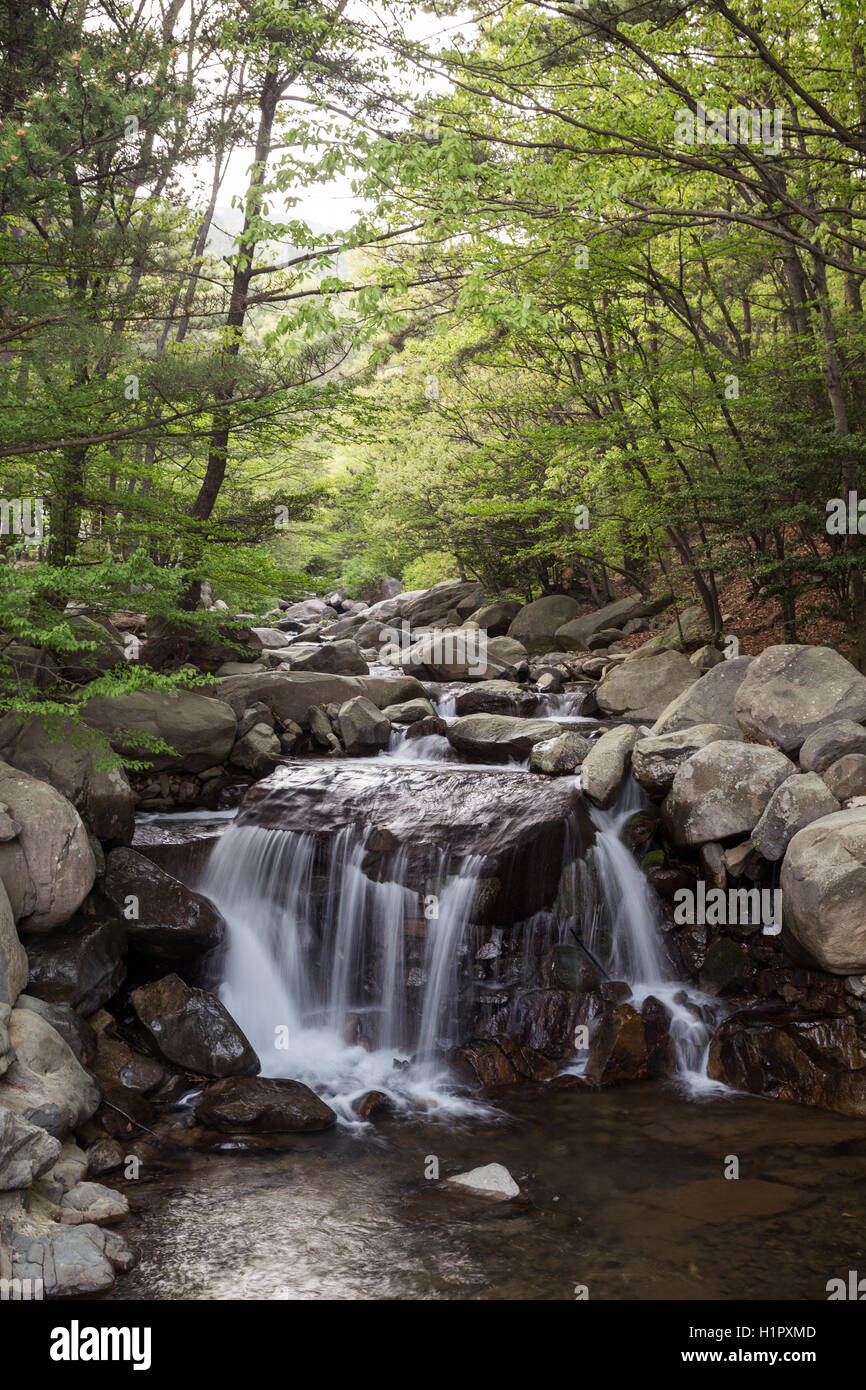 Small and rocky river and waterfall in the forest at the Jangsan ...