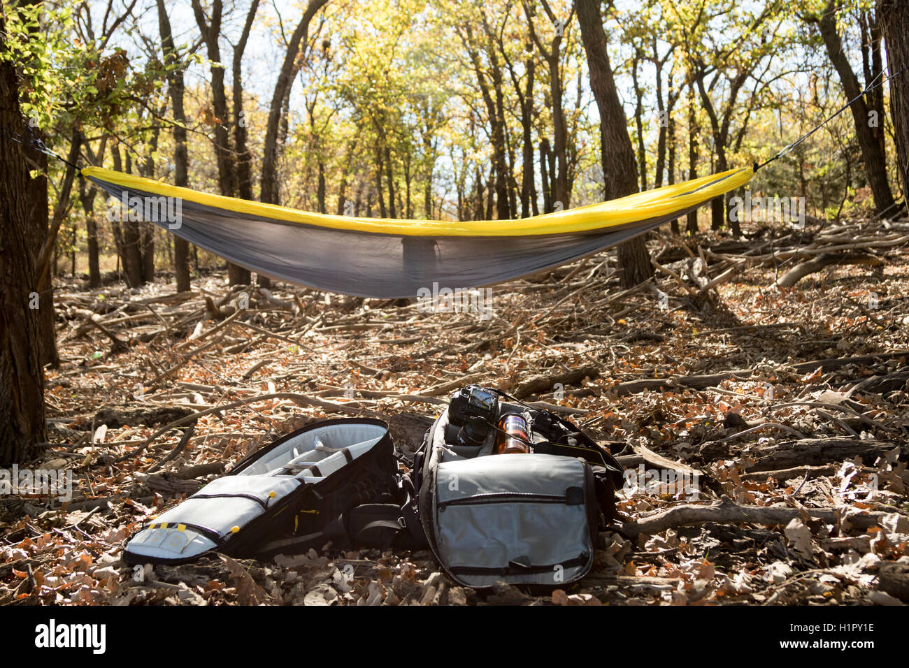 Camera Gear and Hammock Among Fall Foliage Stock Photo - Alamy