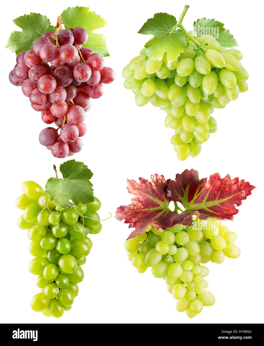 collection of green grapes isolated on the white background Stock Photo ...