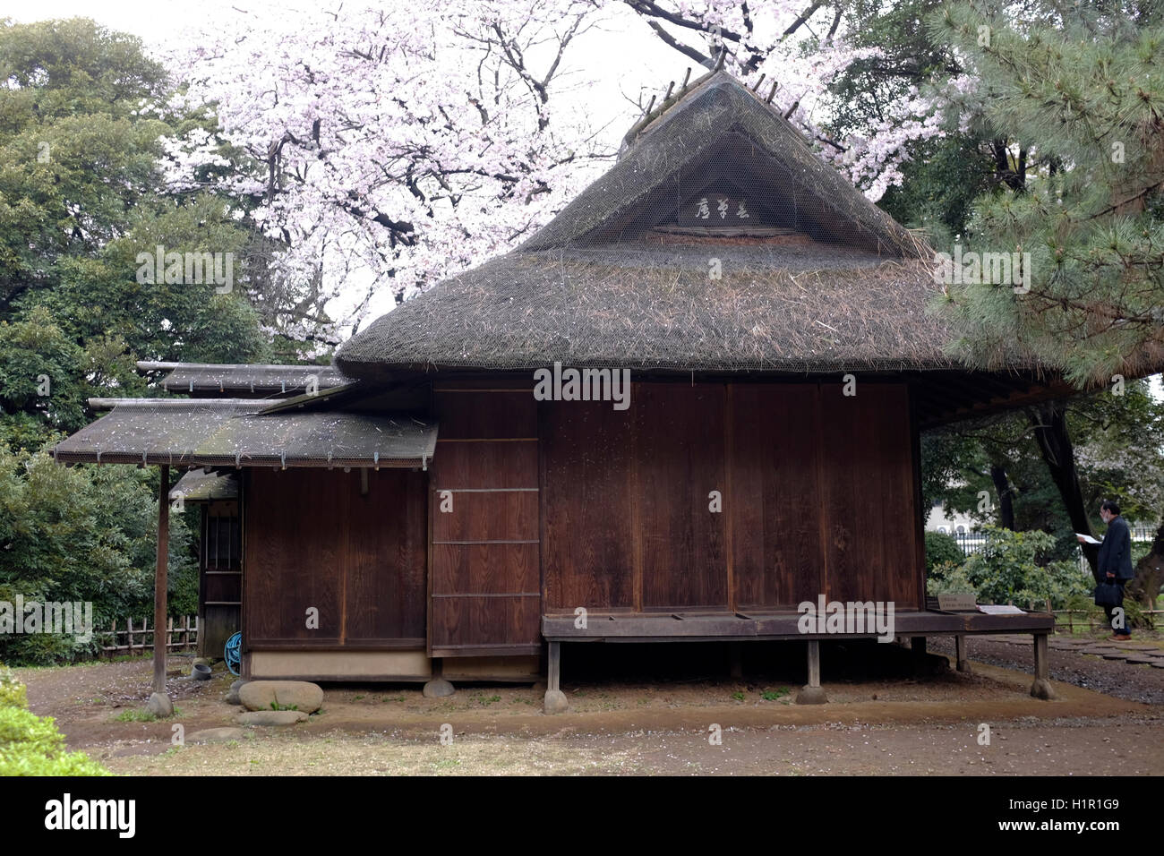 Museum tea room hi-res stock photography and images - Alamy