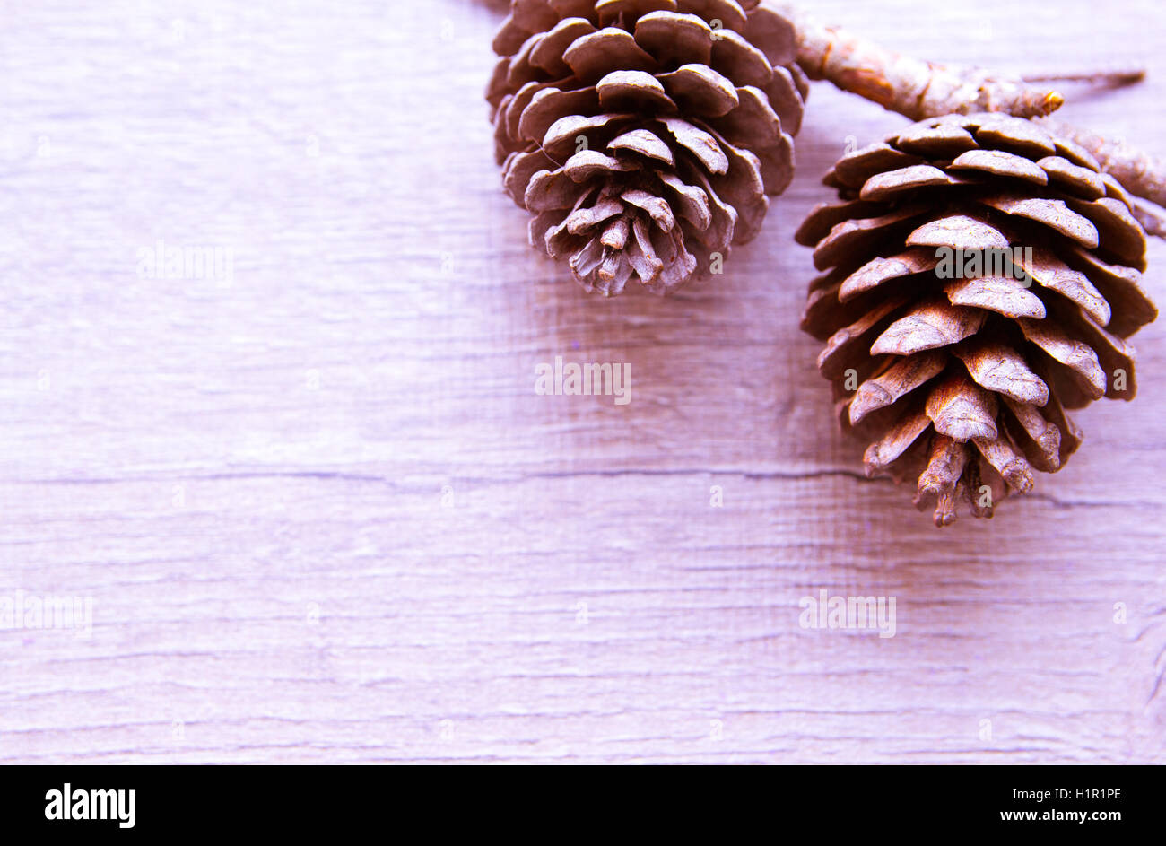 Christmas forest hi-res stock photography and images - Alamy