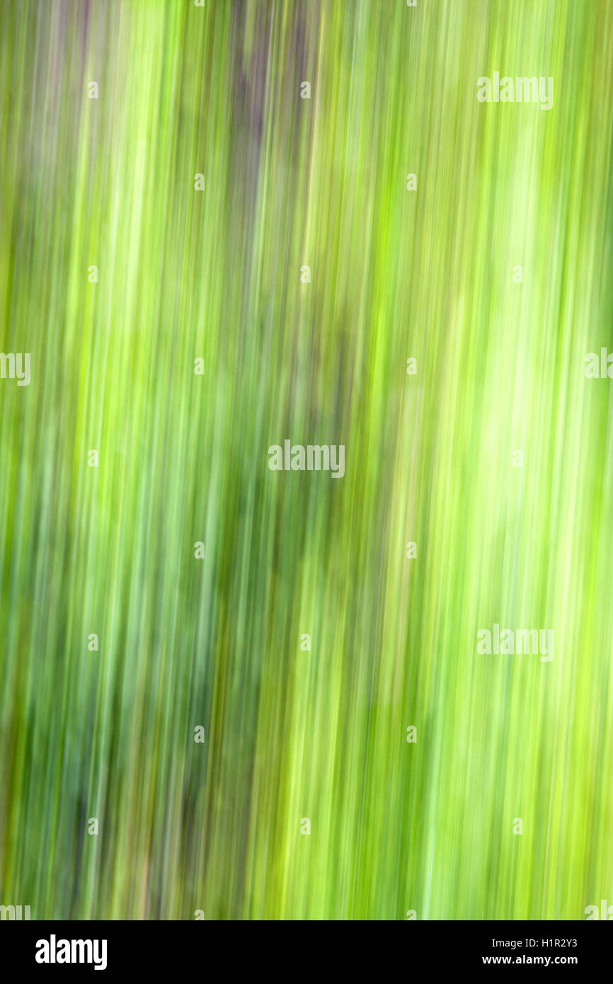 green nature background fast line Stock Photo - Alamy
