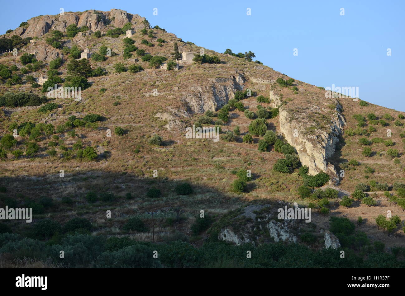 Photography of nature in the open space Stock Photo - Alamy