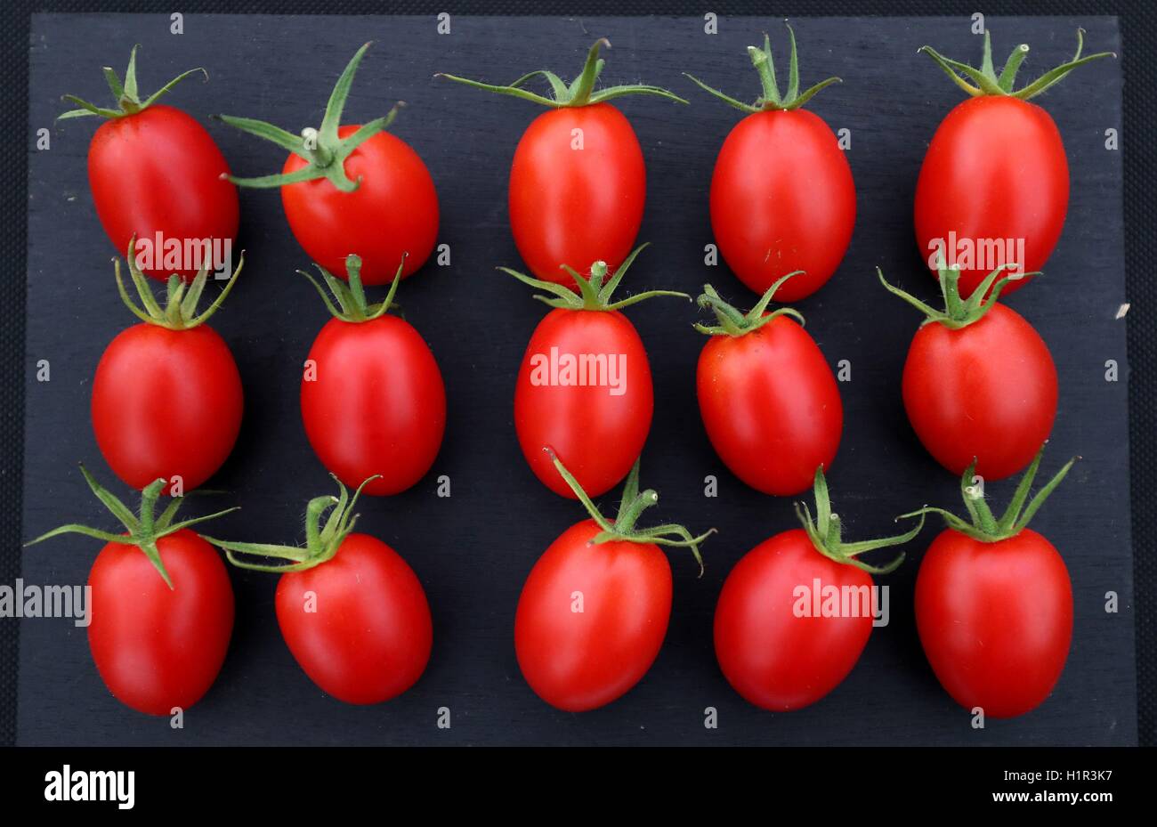 Three counties showground hi-res stock photography and images - Alamy