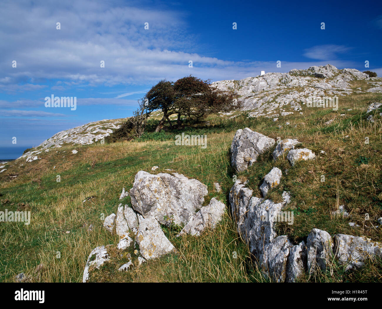 Graig Fawr, Prestatyn, Denbighshire: a dramatic Carboniferous limestone ...