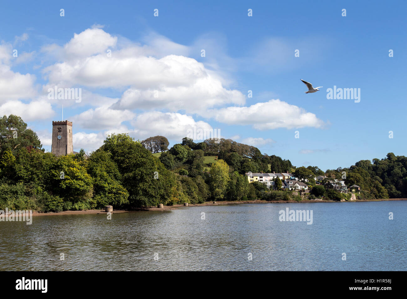 Stoke gabriel church on the river dart hi-res stock photography and ...