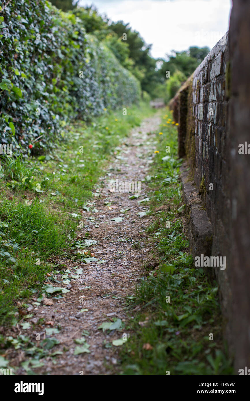 Village pathway hi-res stock photography and images - Alamy