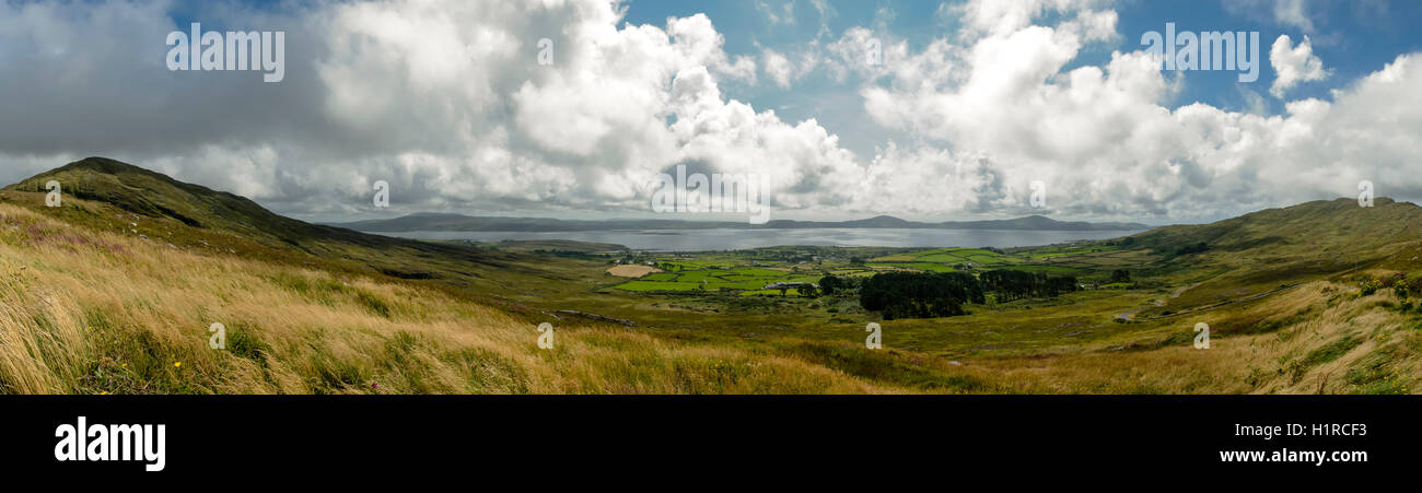 Sheeps head hi-res stock photography and images - Alamy