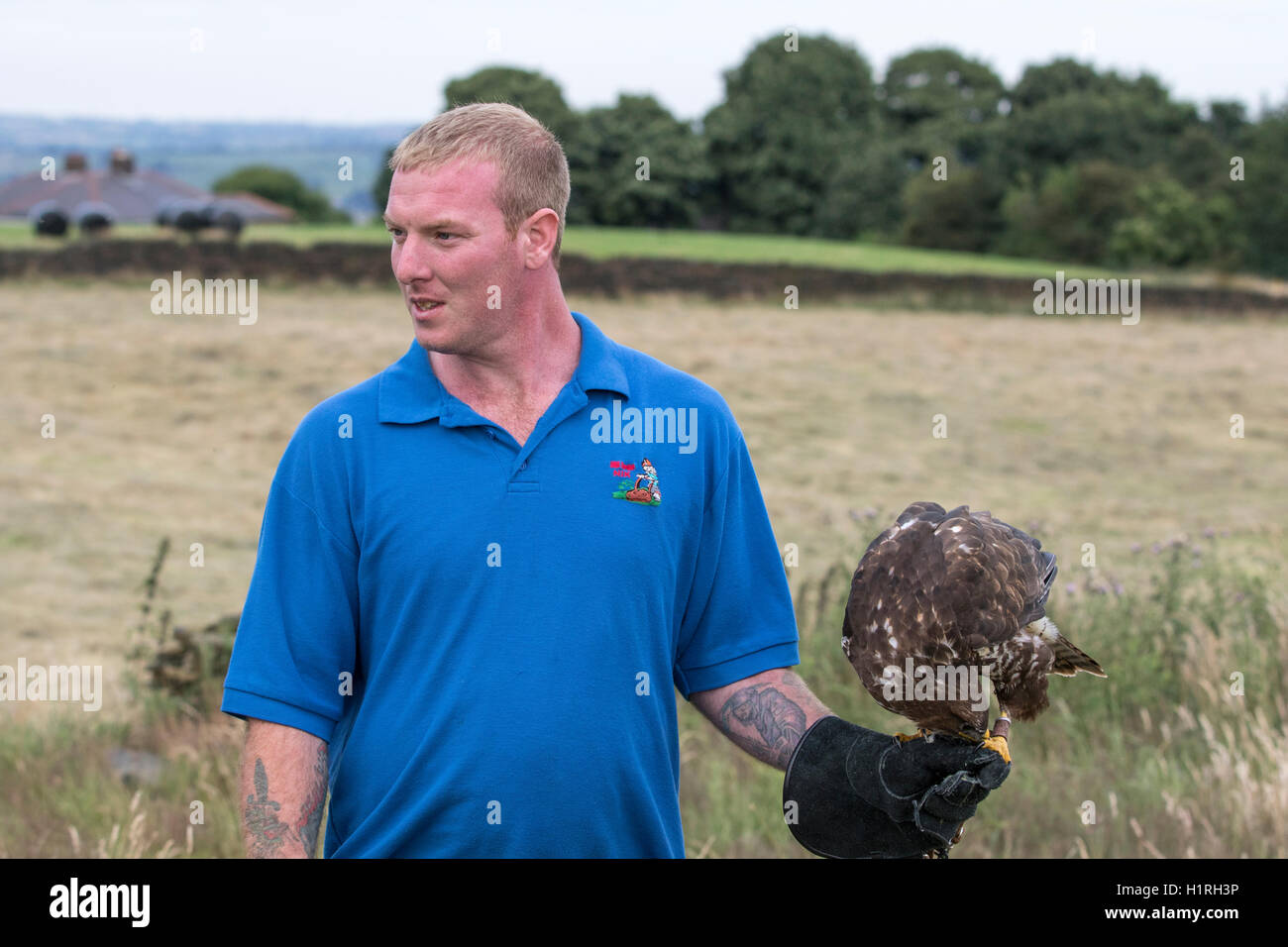 A Man with a Buzzard on his arm Stock Photo - Alamy