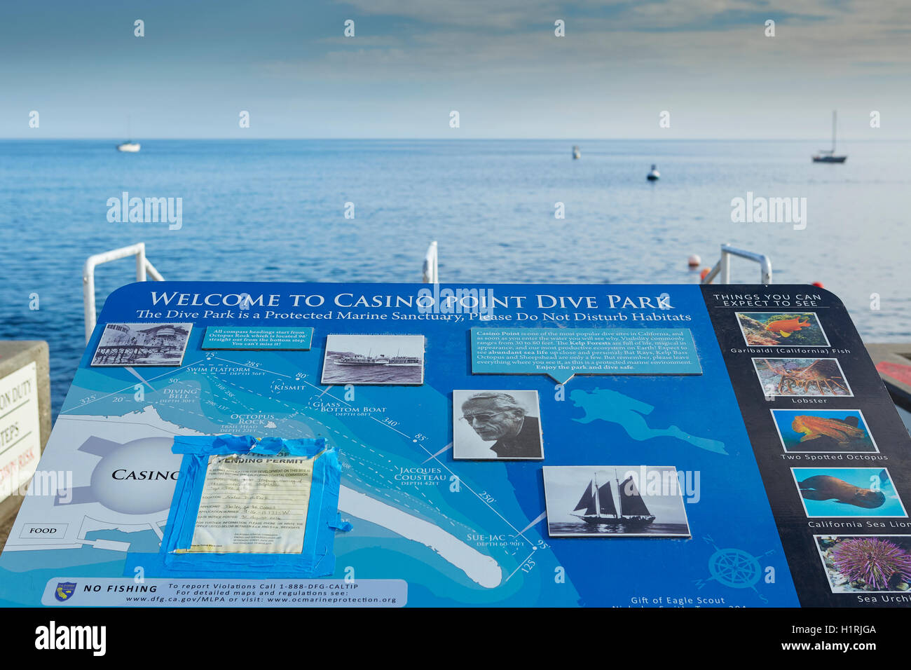 Casino dive point hi-res stock photography and images - Alamy