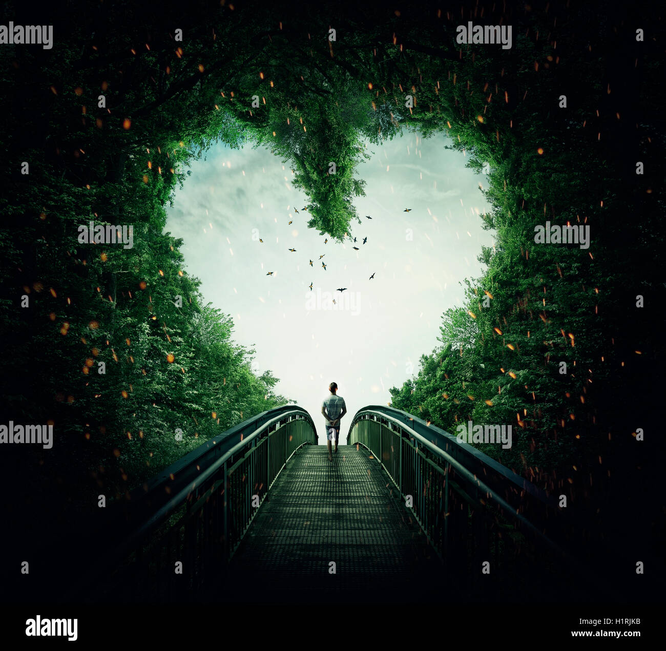 Boy walking on a bridge through the heart shape woods, following the ...