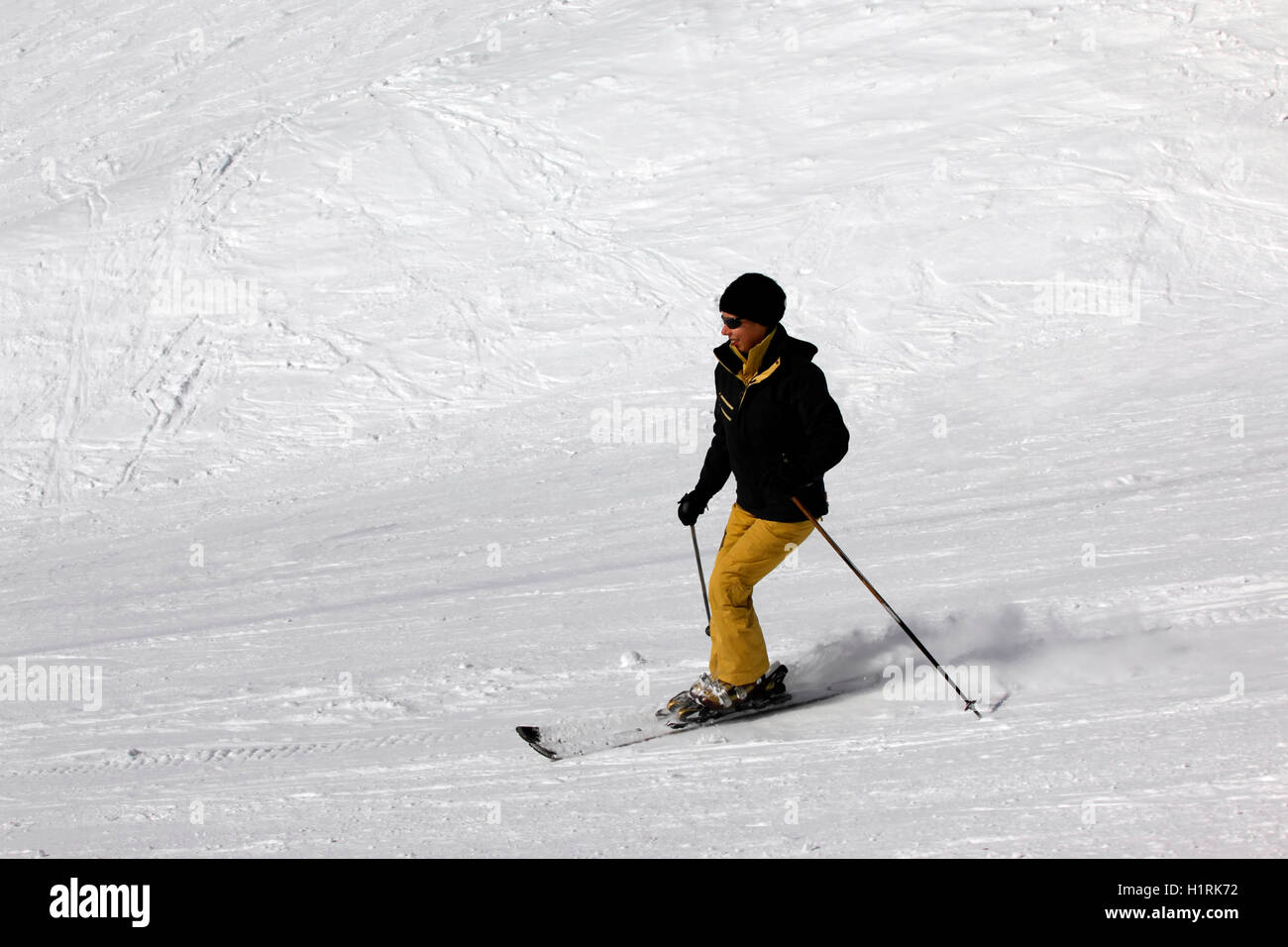 Skier riding fresh powder snow. Europe. Russia. Caucasus Stock Photo ...