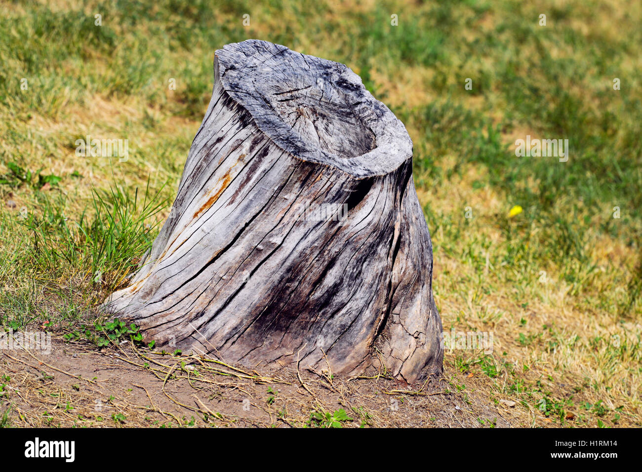 Formas naturaleza hi-res stock photography and images - Alamy