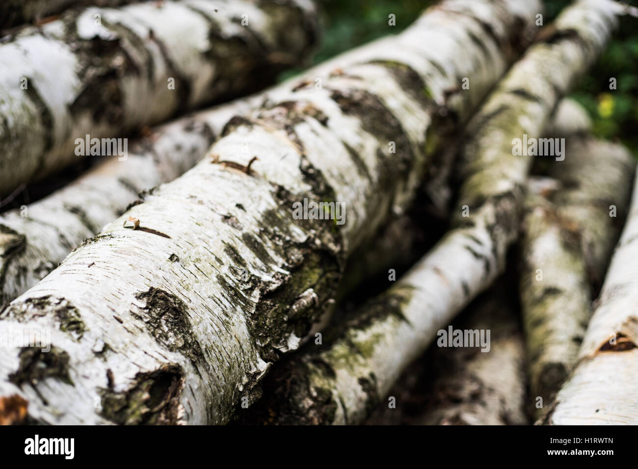 Birch wood architecture hi-res stock photography and images - Alamy