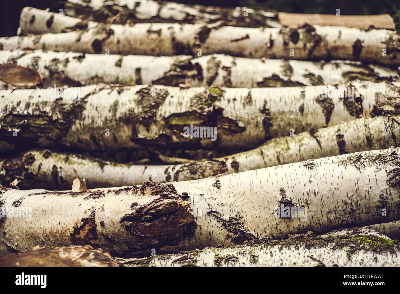 Birch wood architecture hi-res stock photography and images - Alamy