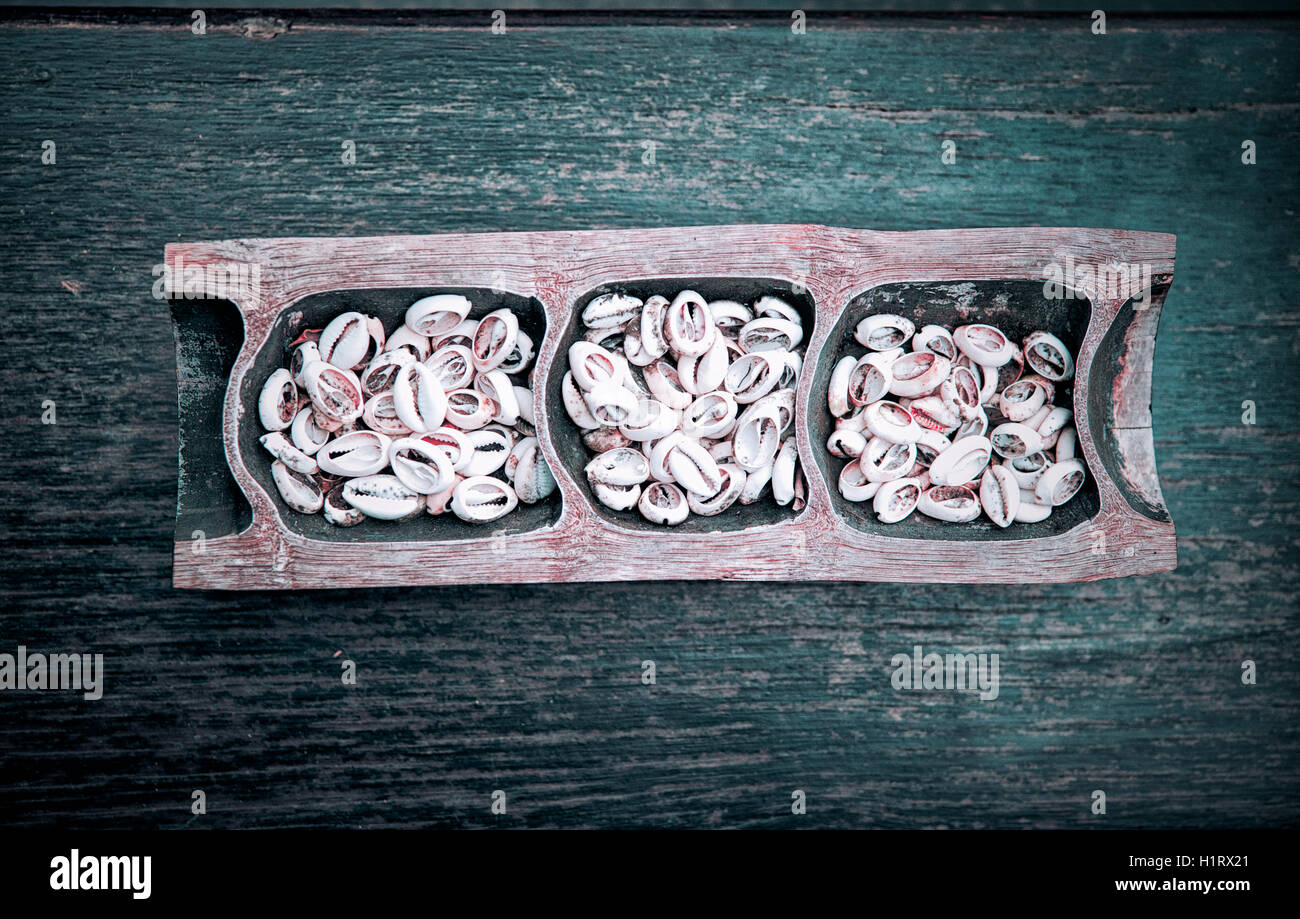 Money Cowry shells Stock Photo - Alamy