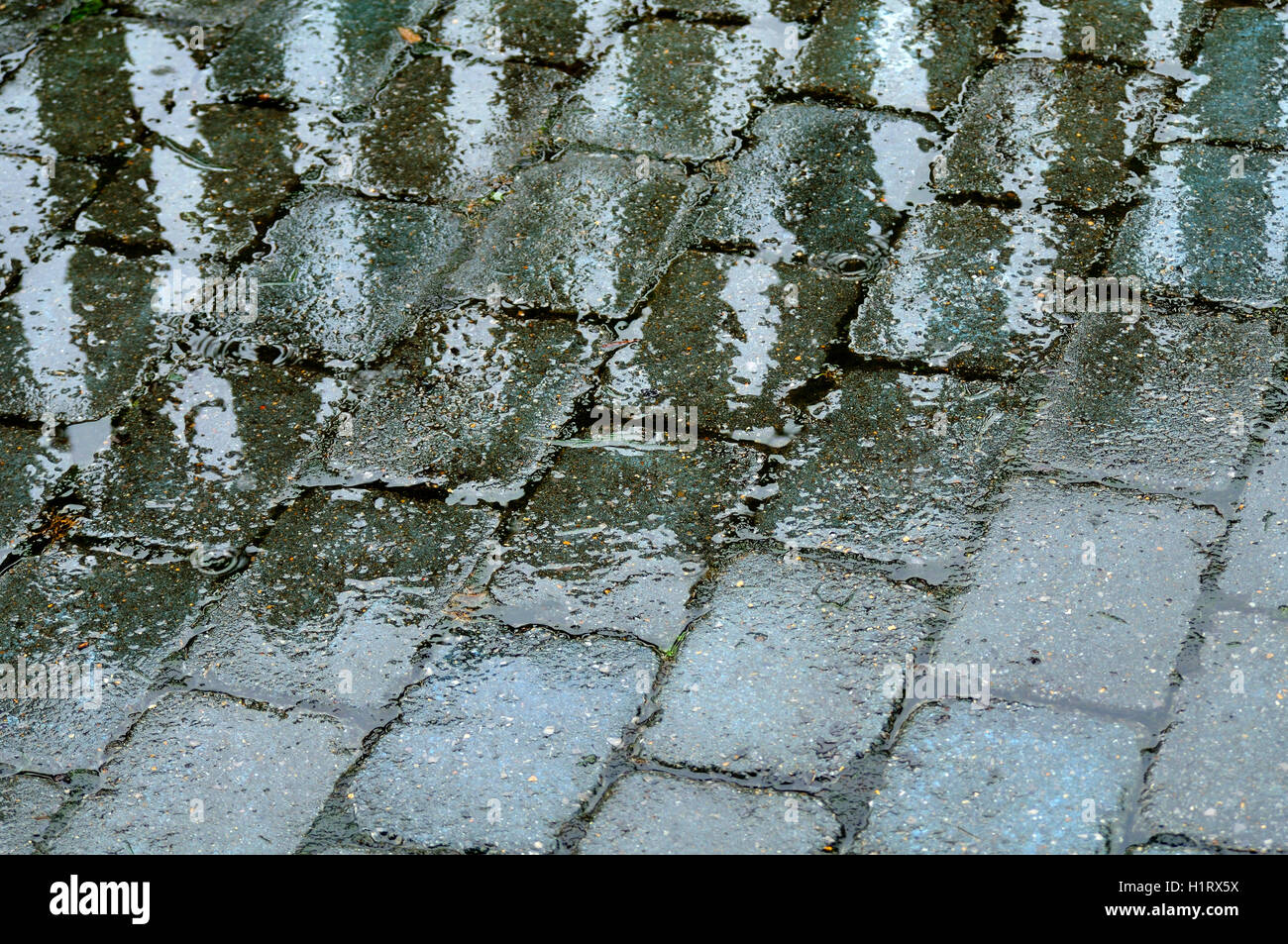 wet paving stones Stock Photo - Alamy