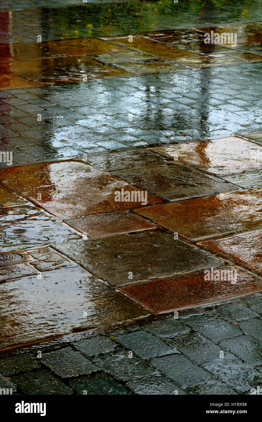 wet paving stones Stock Photo - Alamy