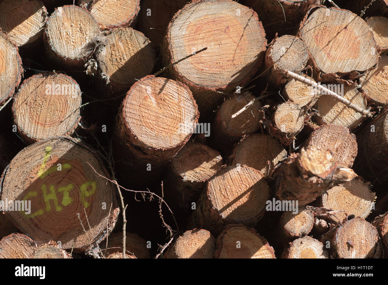Abbots langley, hertfordshire hi-res stock photography and images - Alamy