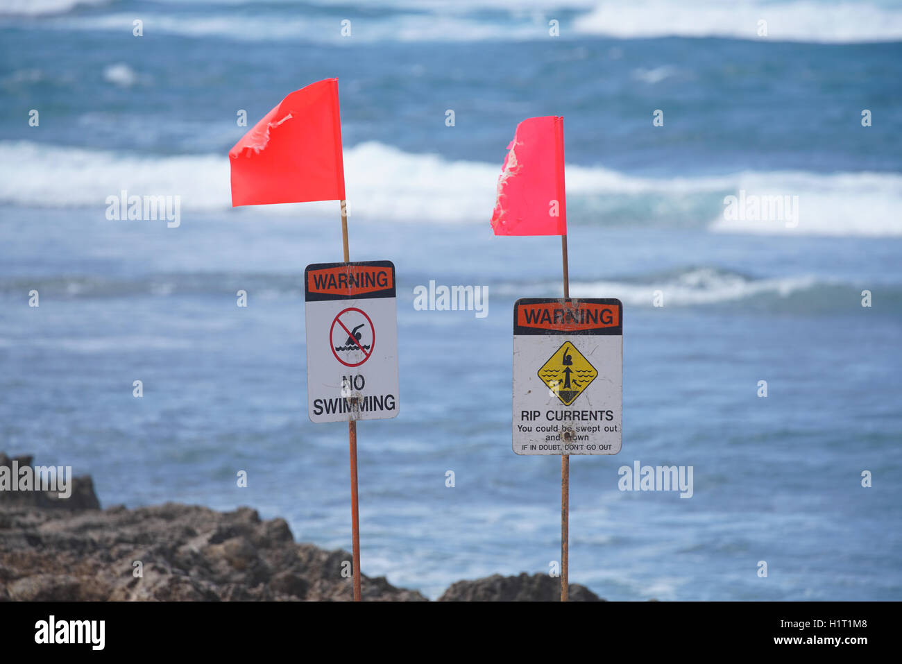 Signs Warn swimmers of dangerous conditions in the surf on the North ...