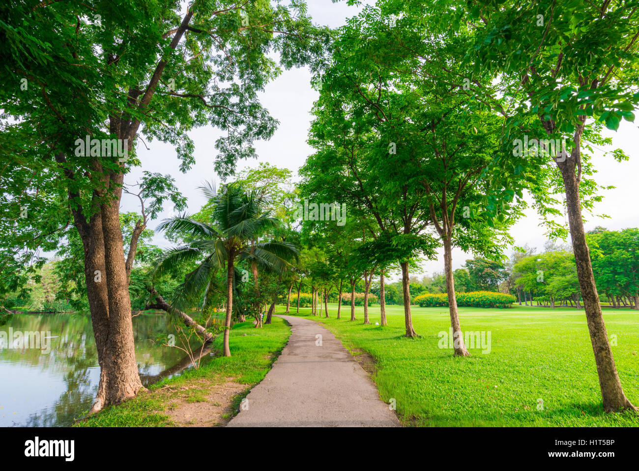 Green lawn in city park and pathway, Beautiful park Stock Photo - Alamy