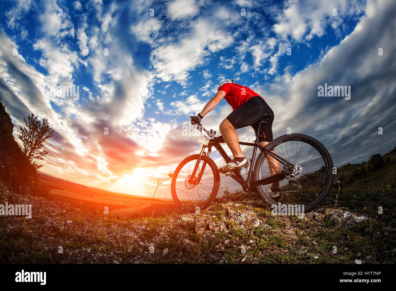 low angle view of cyclist riding mountain bike on rocky trail at ...