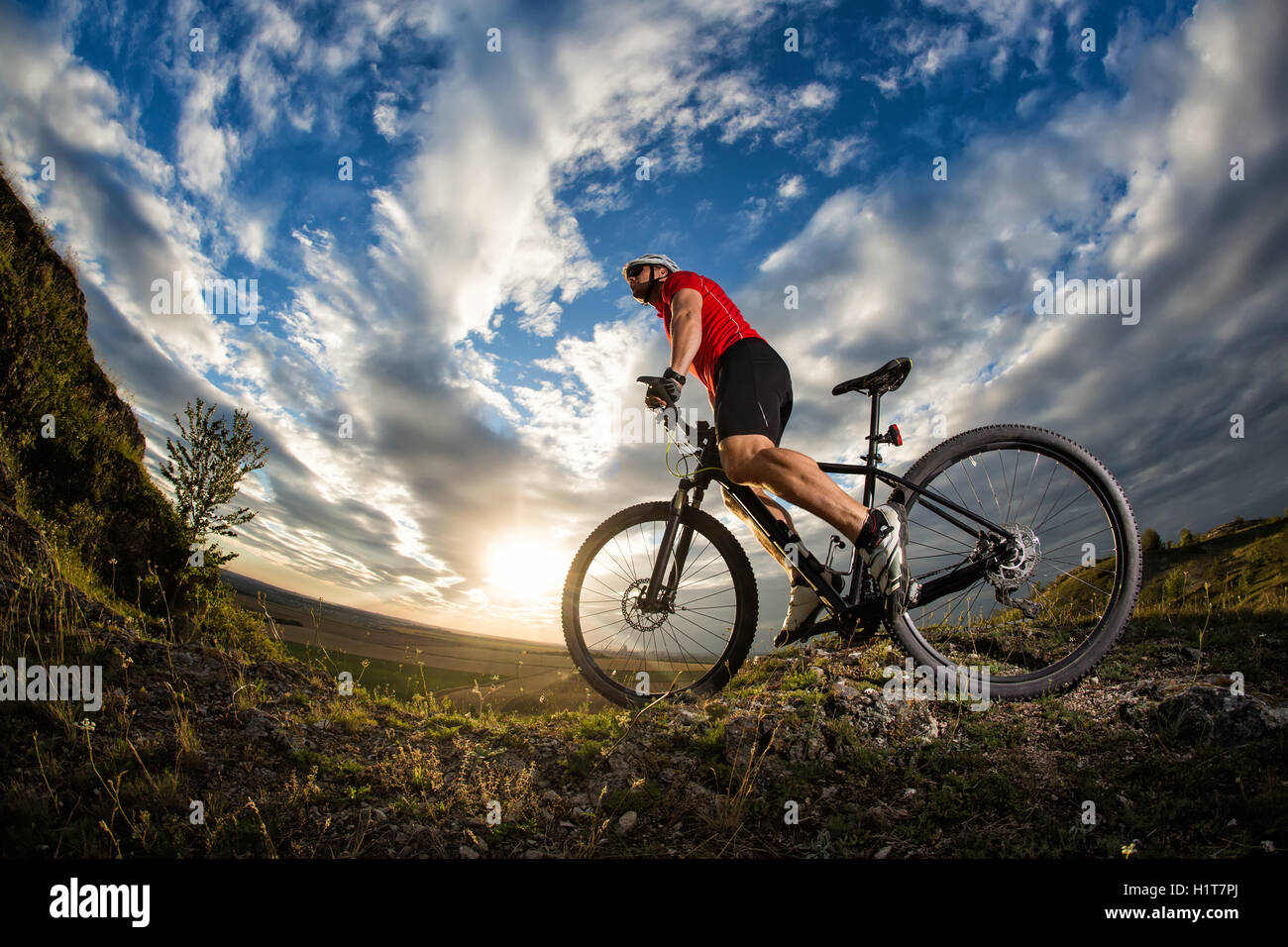low angle view of cyclist standing with mountain bike on trail at ...