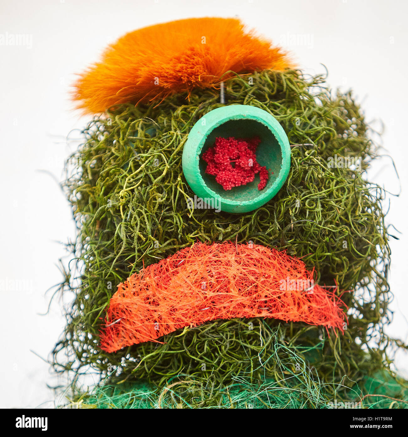 Monster flower hi-res stock photography and images - Alamy