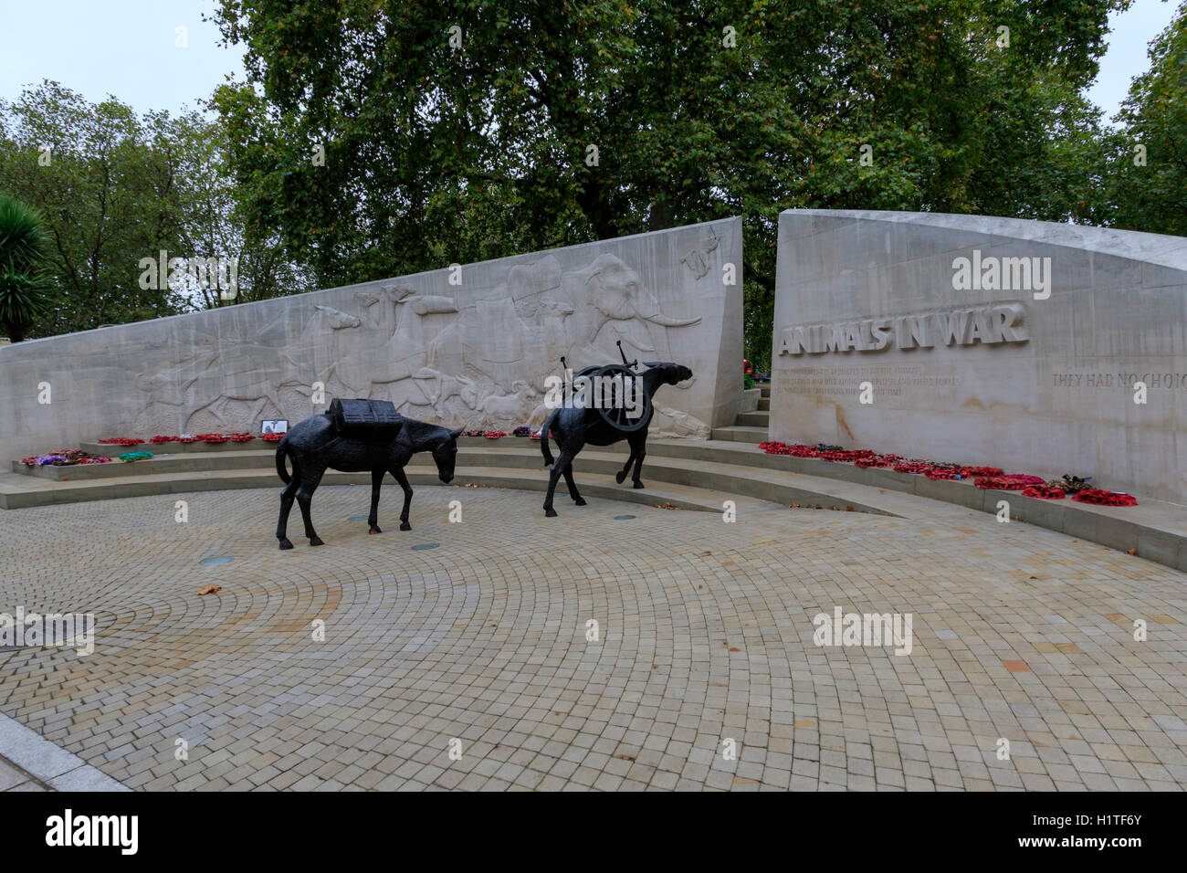 Animals in war memorial hi-res stock photography and images - Alamy