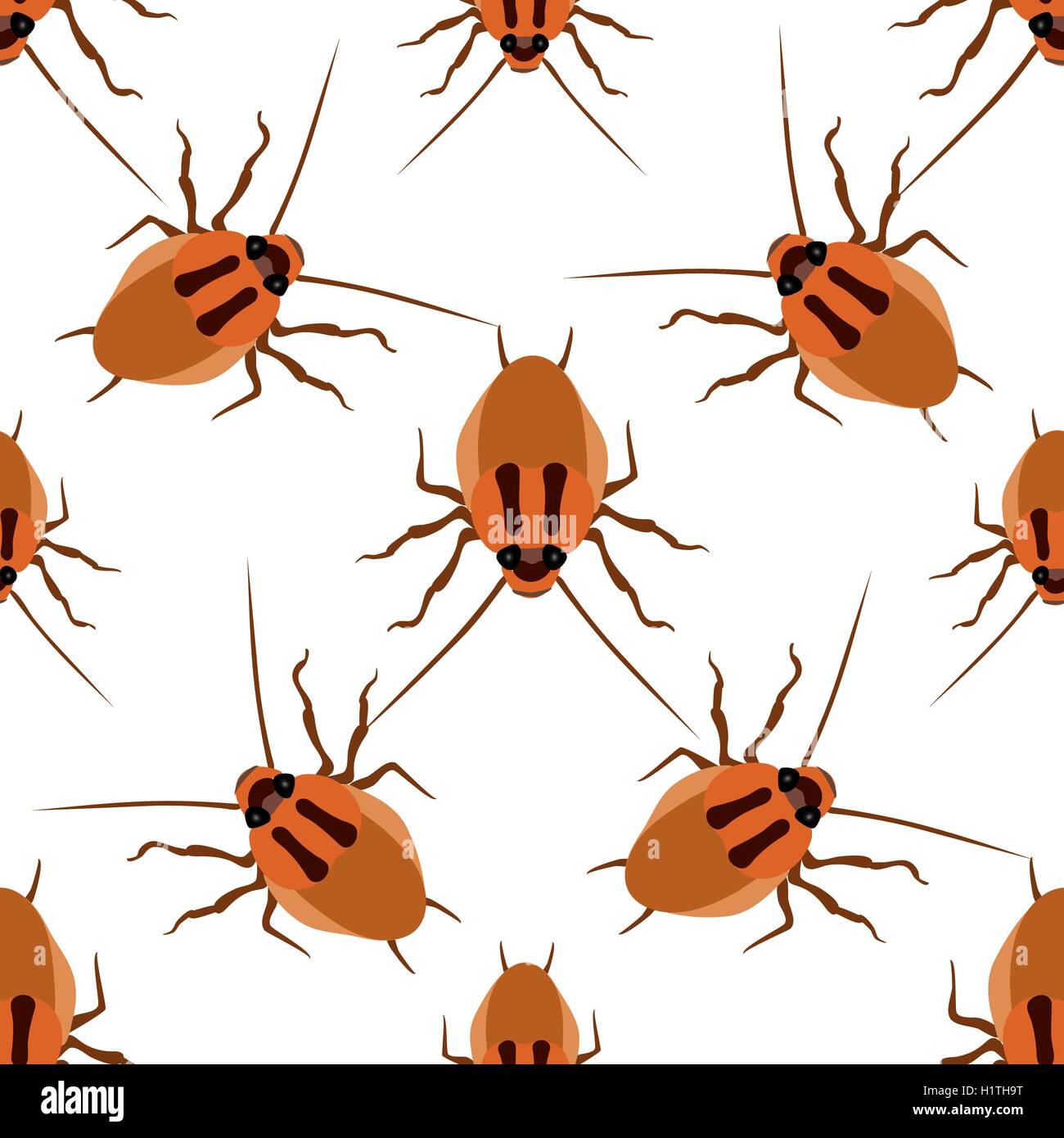 Seamless pattern cockroach on a white background Stock Vector Image ...