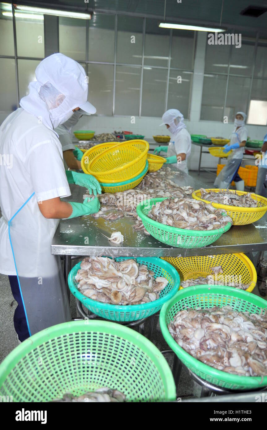 Vung Tau, Vietnam - September 28, 2011: A woman worker is classifying ...