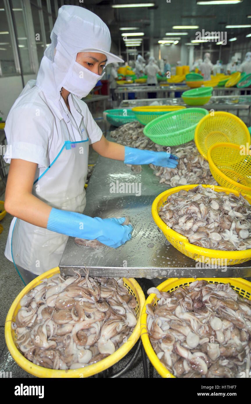 Vung Tau, Vietnam - September 28, 2011: A woman worker is classifying ...
