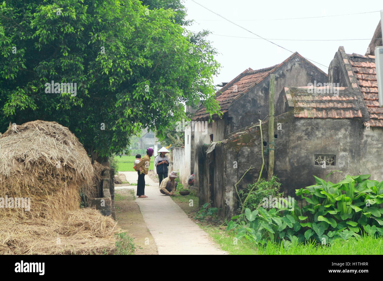 Nam Dinh, Vietnam - March 28, 2010: A pathway to village in a rural ...