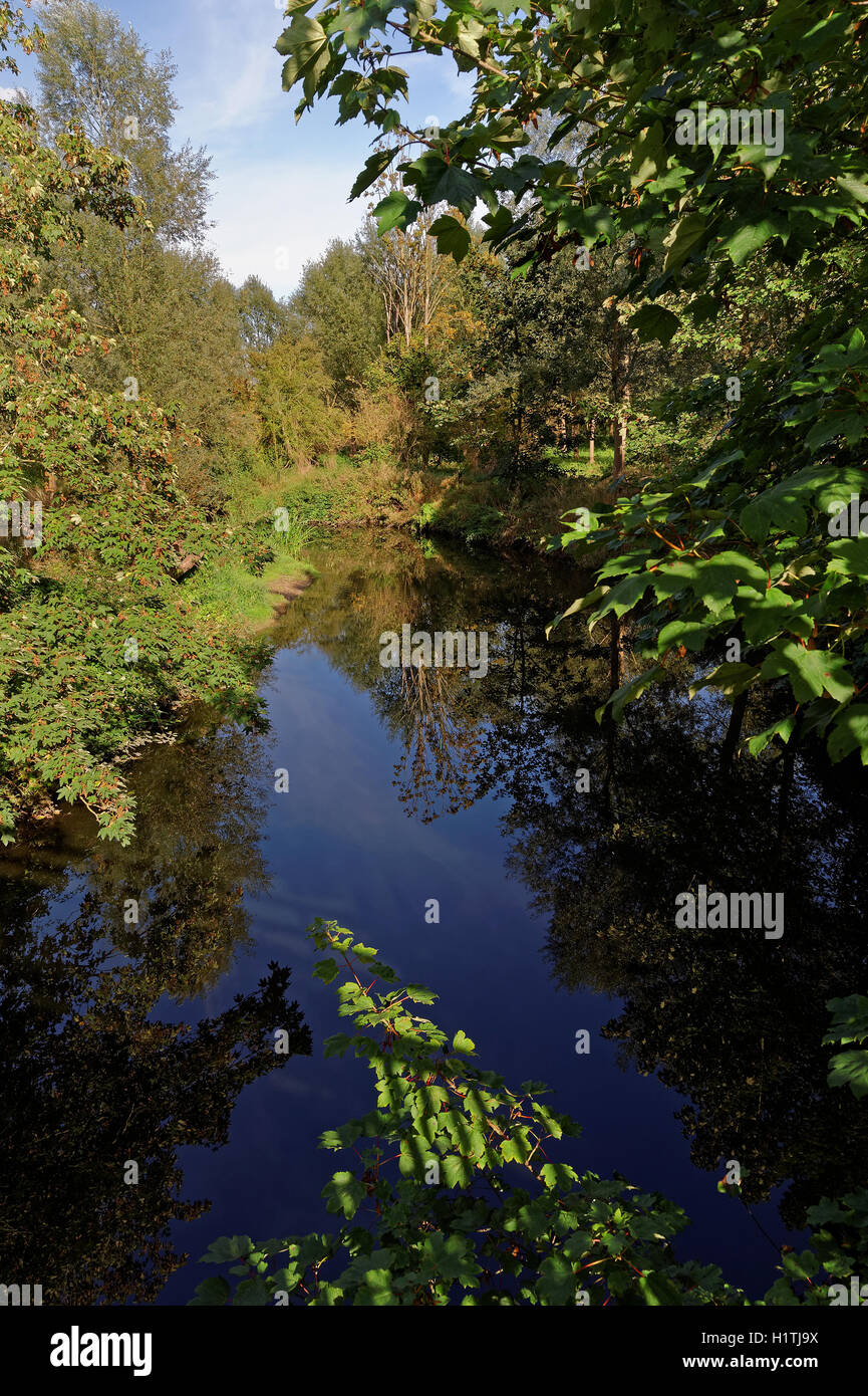 Reflections and shadows hi-res stock photography and images - Alamy