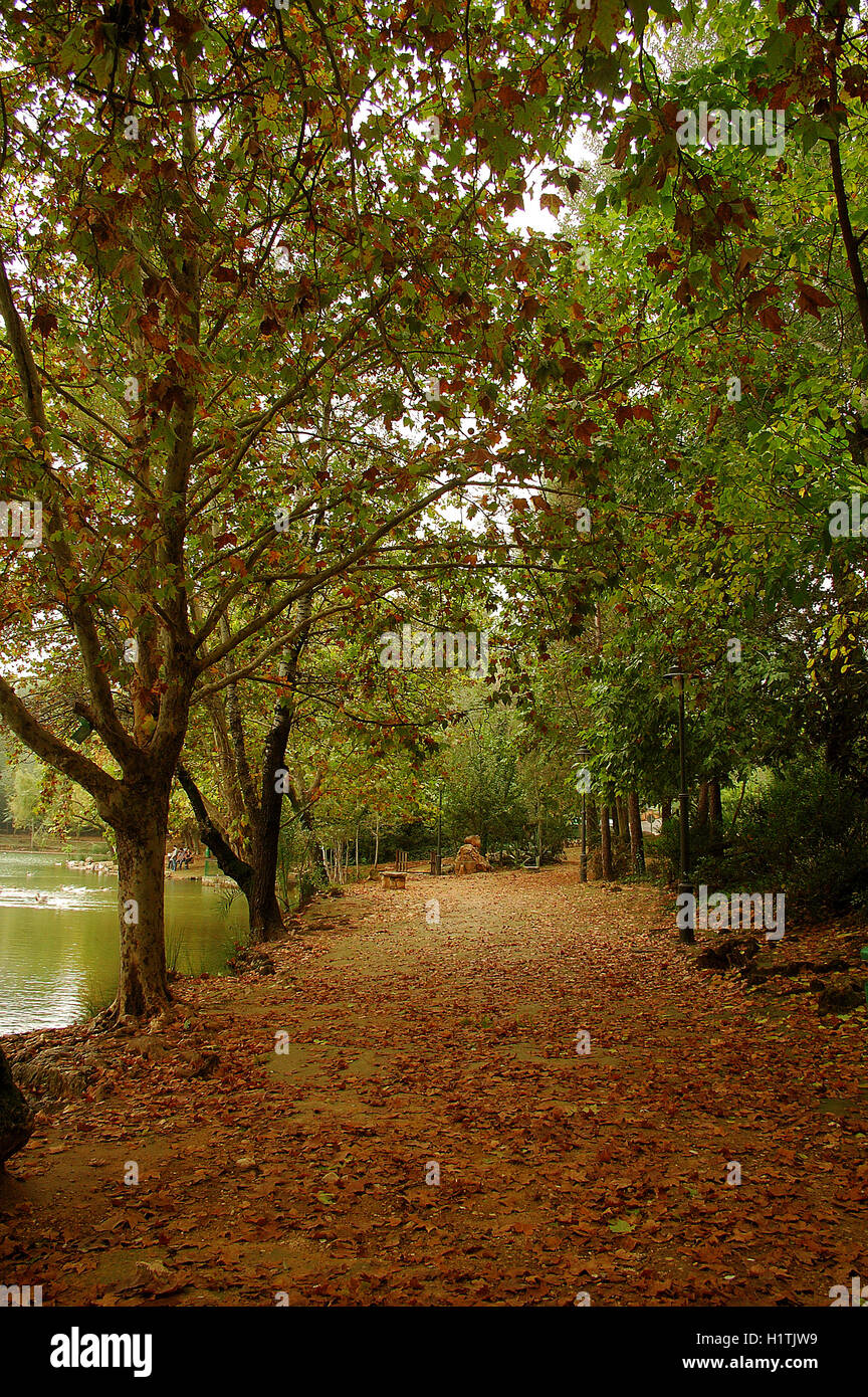 Lonely path among trees in a park by a small lake in autumn, with the ...