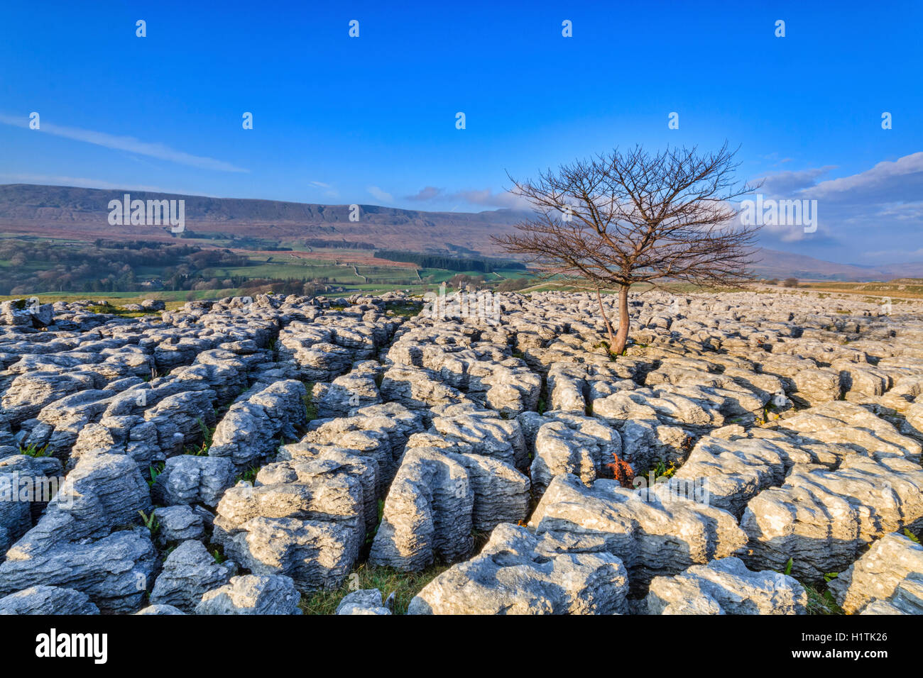 Limestone pavement ingleborough hi-res stock photography and images - Alamy