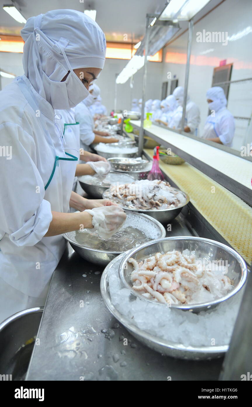 Vung Tau, Vietnam - December 9, 2014: Workers are classifying octopus ...