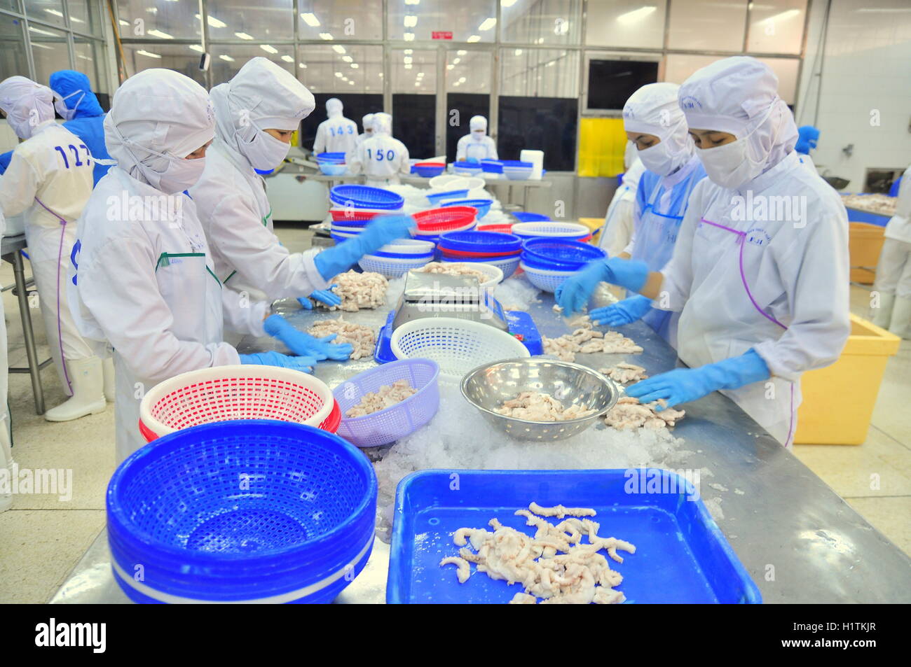Octopus farming hi-res stock photography and images - Alamy