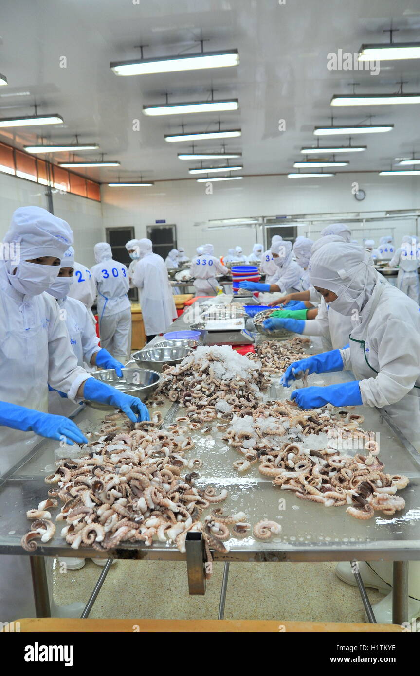 Vung Tau, Vietnam - December 9, 2014: Workers are classifying octopus ...